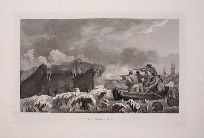 Captain Cook's Voyage to the North West Coast of North America