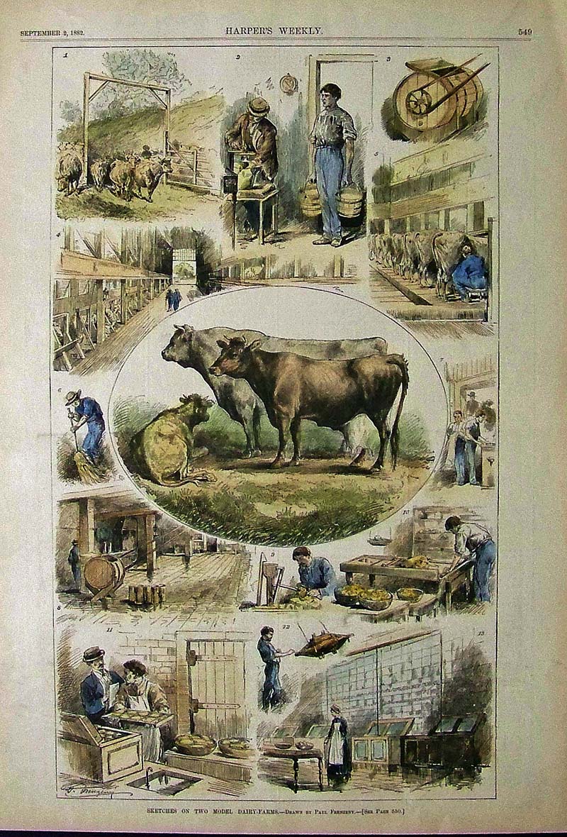 Prints Old & Rare - Farm Animals - Antique Maps & Prints