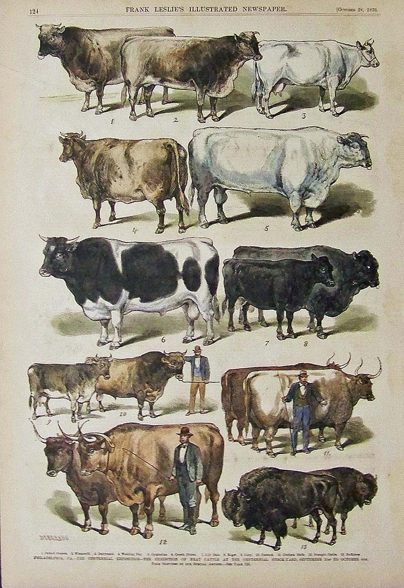 Prints Old & Rare - Farm Animals - Antique Maps & Prints