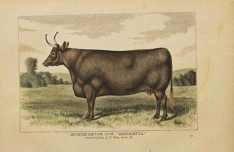 Prints Old & Rare - Farm Animals - Antique Maps & Prints