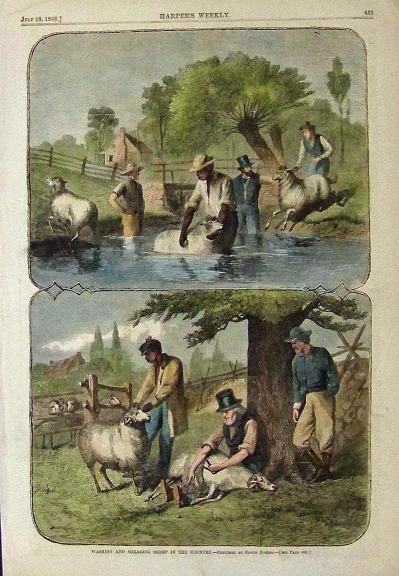 Prints Old & Rare - Farm Scenes page