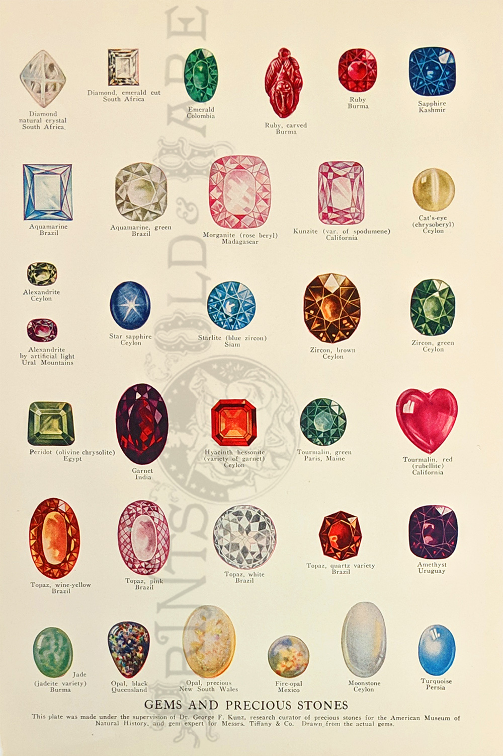 Prints Old & Rare - Jewelry - Antique Maps & Prints