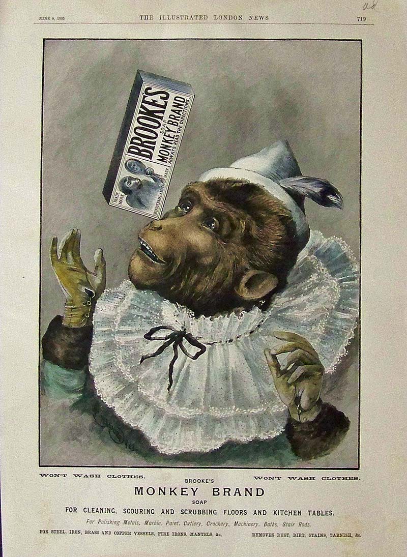 Prints Old & Rare - Monkey & Primates - Antique Maps & Prints