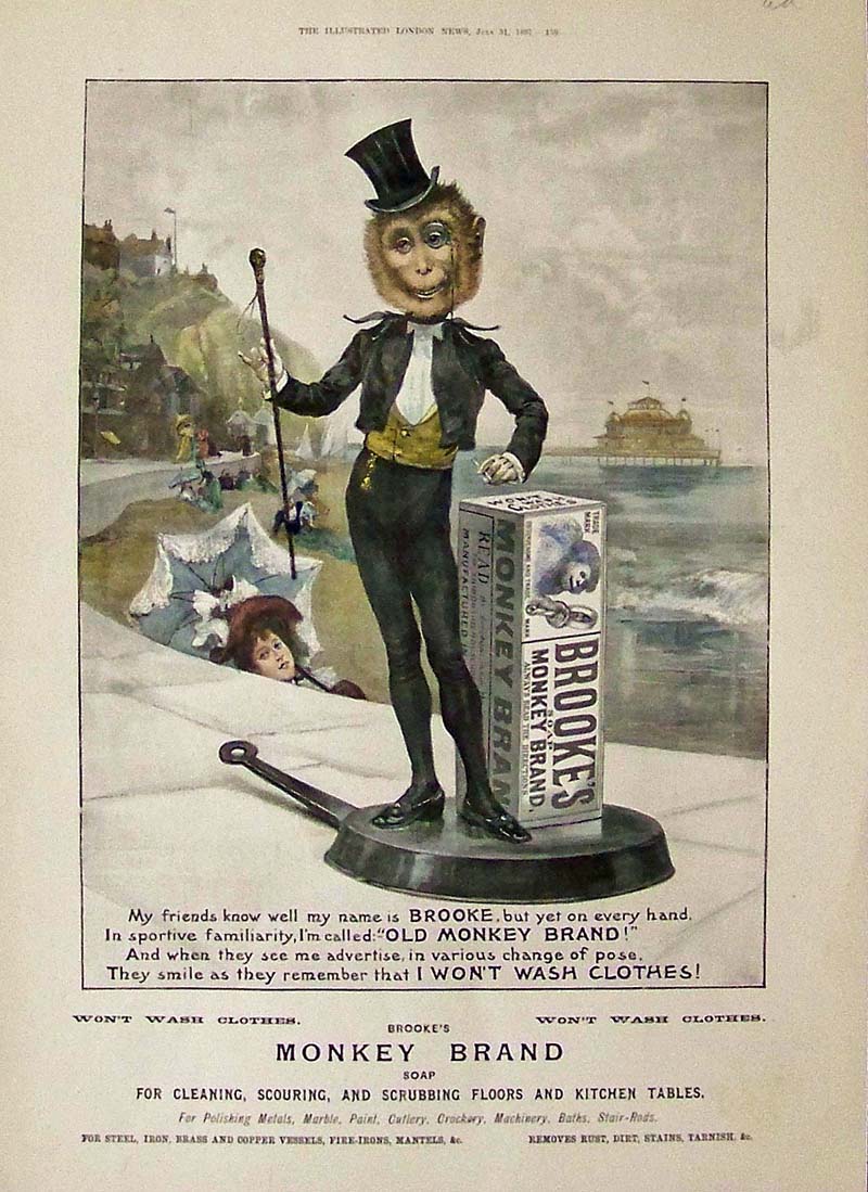 Prints Old & Rare - Monkey & Primates - Antique Maps & Prints