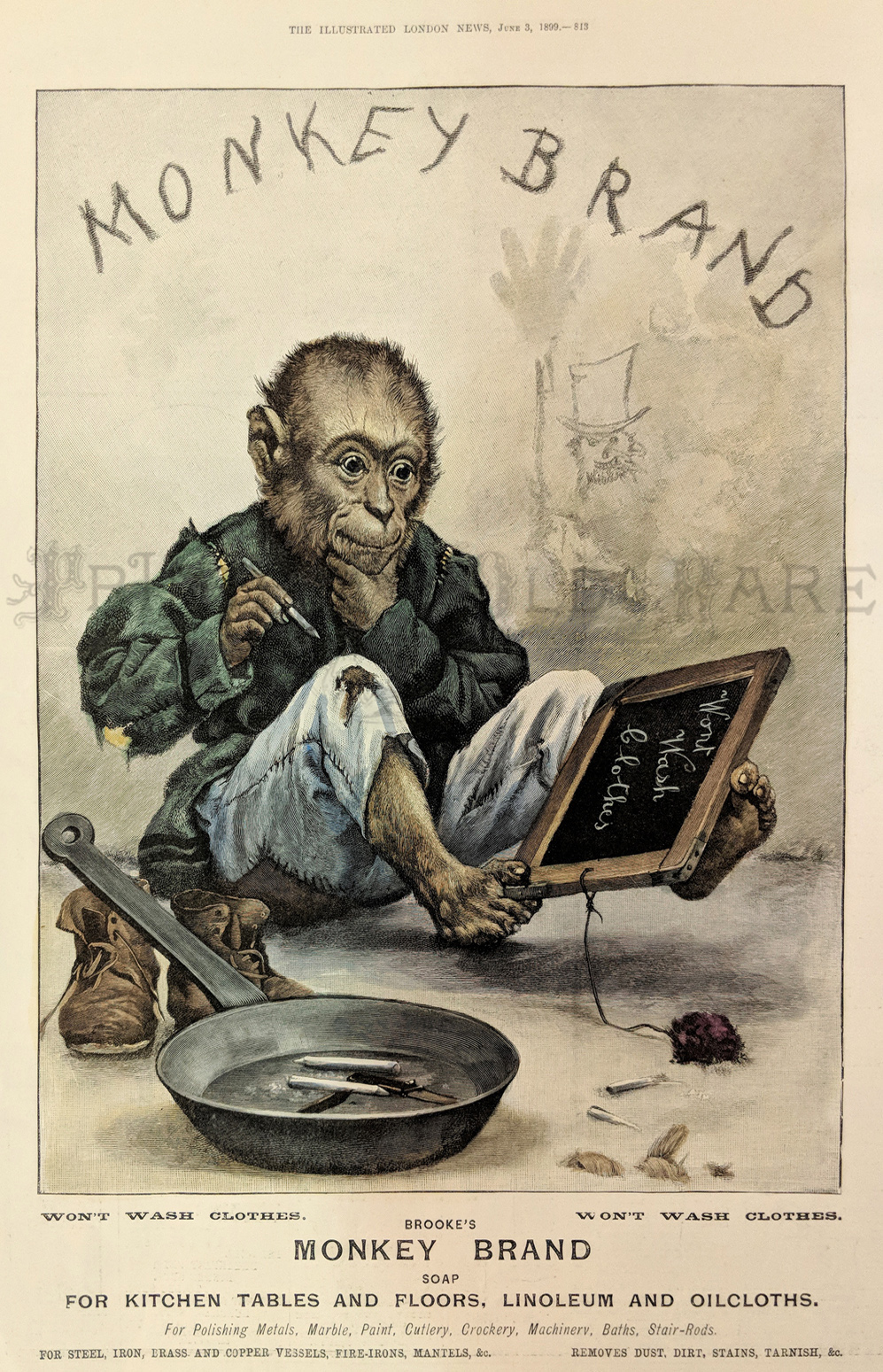 Prints Old & Rare - Monkey & Primates - Antique Maps & Prints