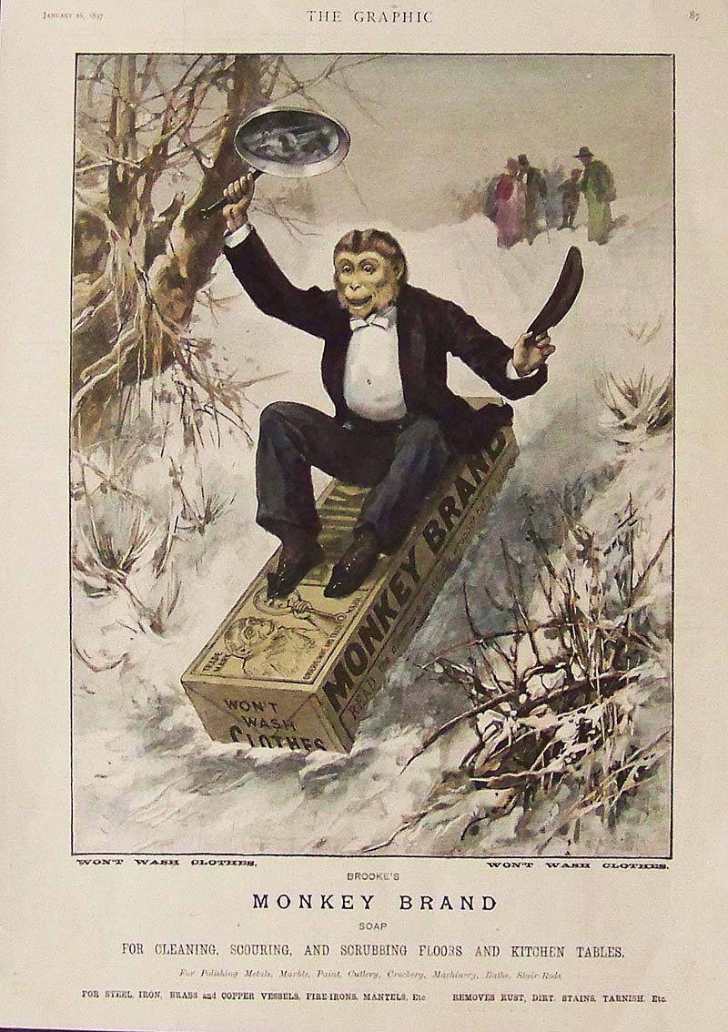 Prints Old & Rare - Monkey & Primates - Antique Maps & Prints